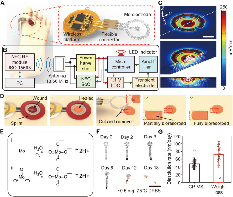 世界初、傷の治りが30%速くなる電子包帯を開発(First transient electronic bandage speeds ...